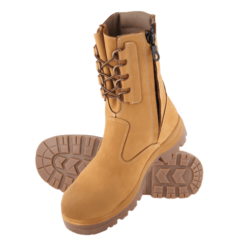 Steel Blue Collie - Tradey's Browns Plains